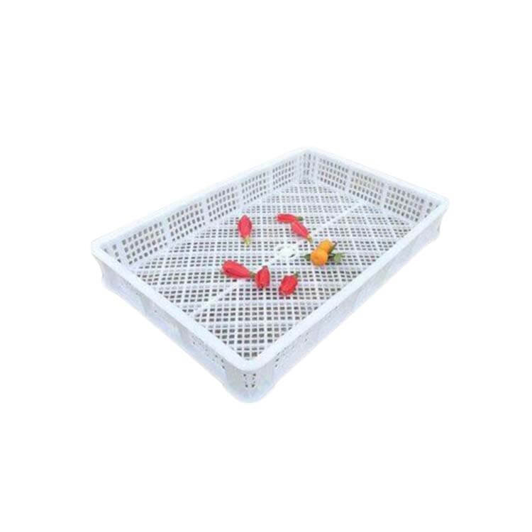 Plastic Vented Drying Trays