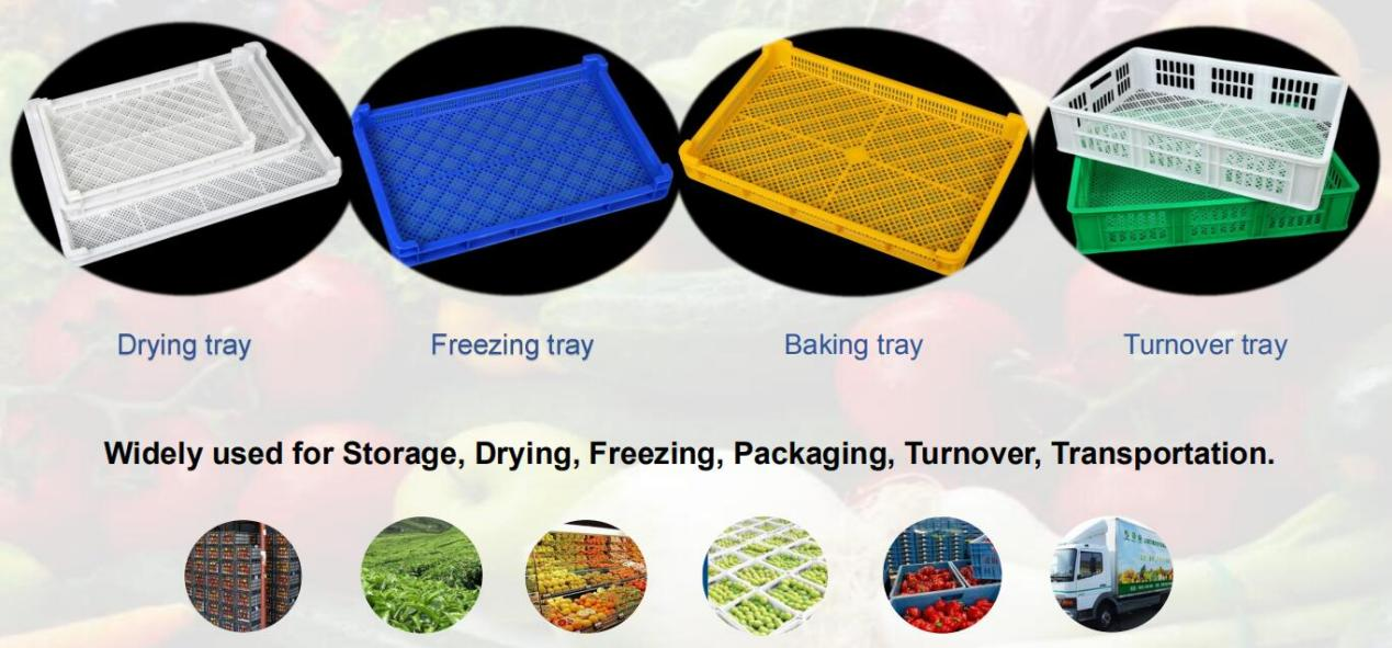 What are the benefits of plastic trays? - Qiming Packaging Lids Caps ...