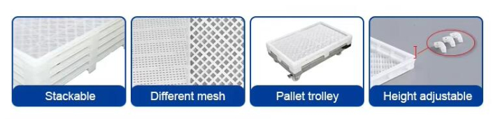 Plastic Vented Drying Trays